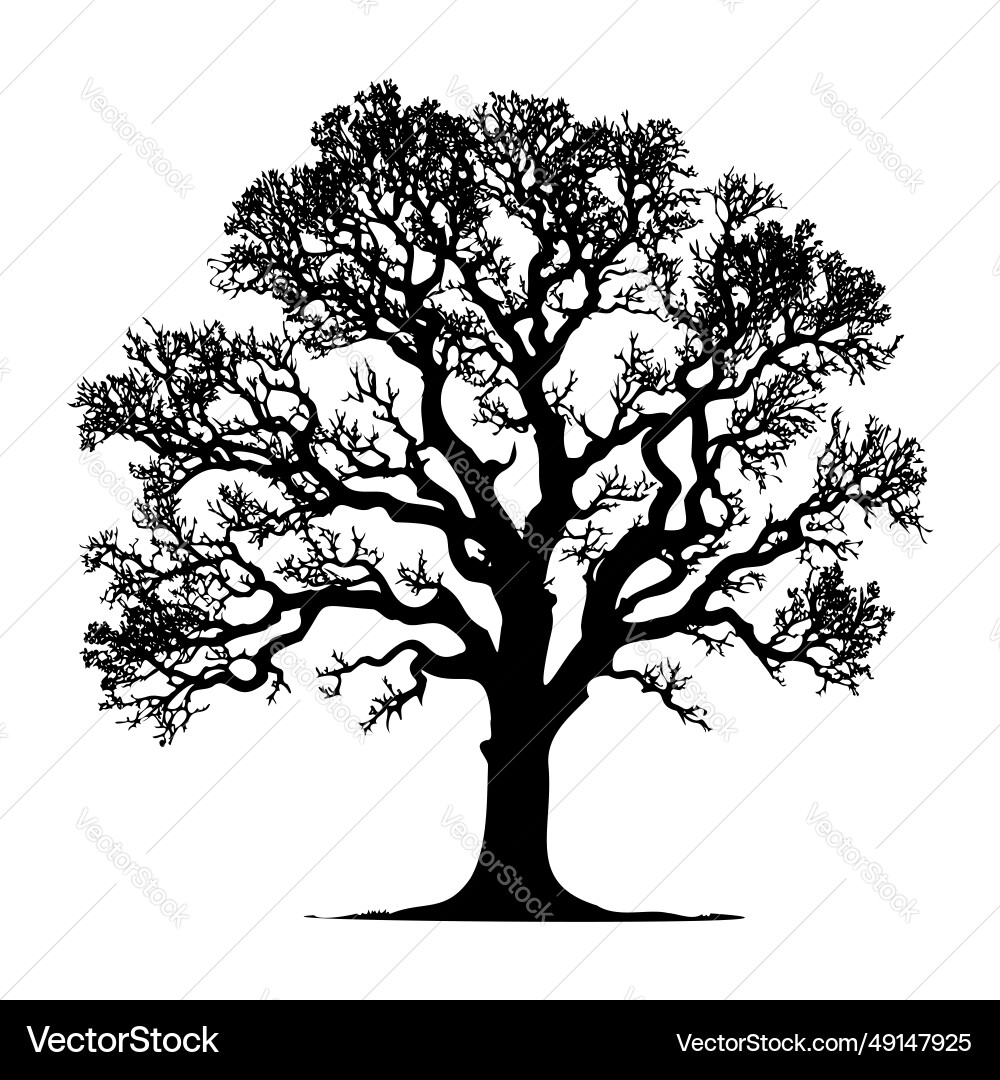 Oak Tree Vector Black