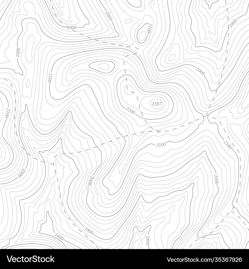 Background topographic line contour map Royalty Free Vector