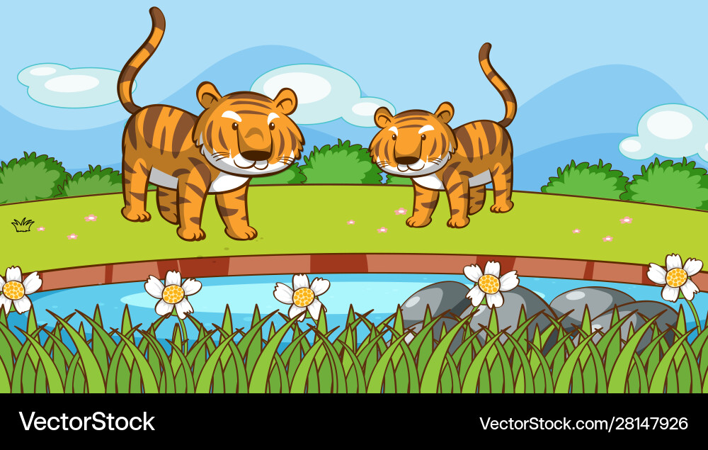 Scene with two tigers in park Royalty Free Vector Image