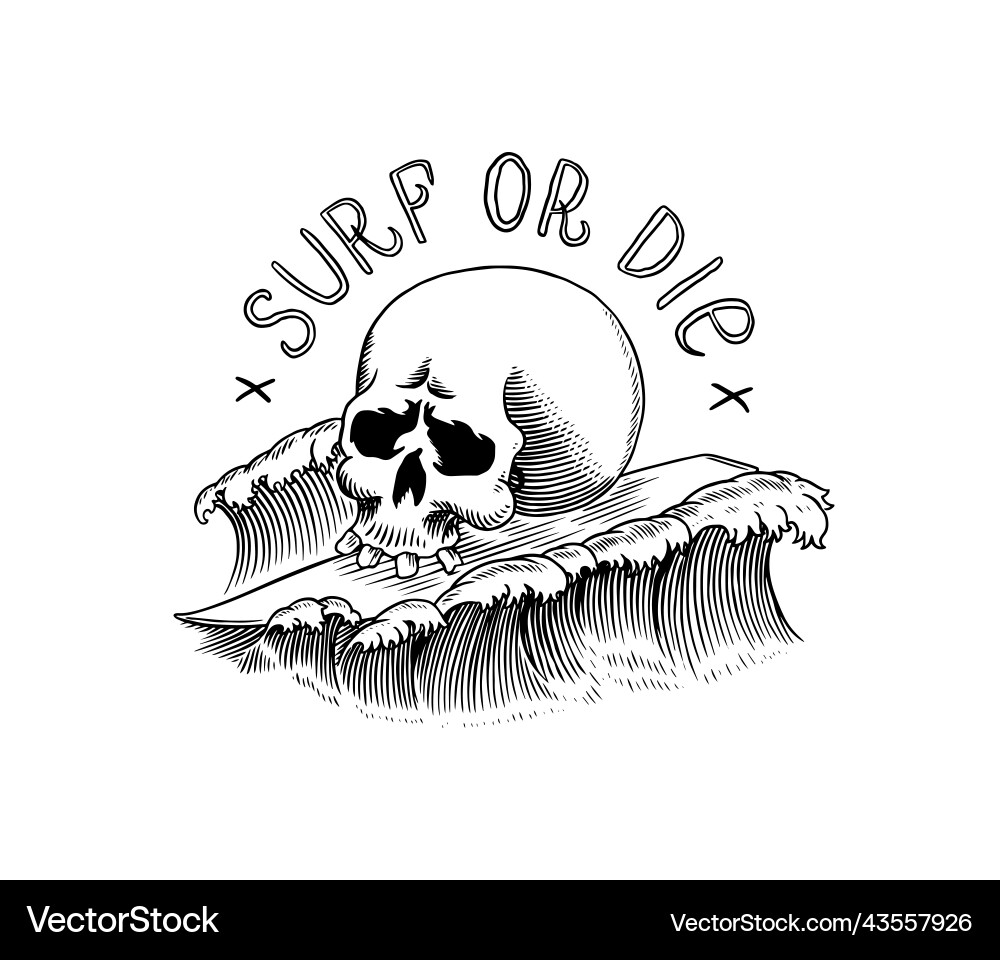 Skull on the sea waves skeleton snowboard Vector Image