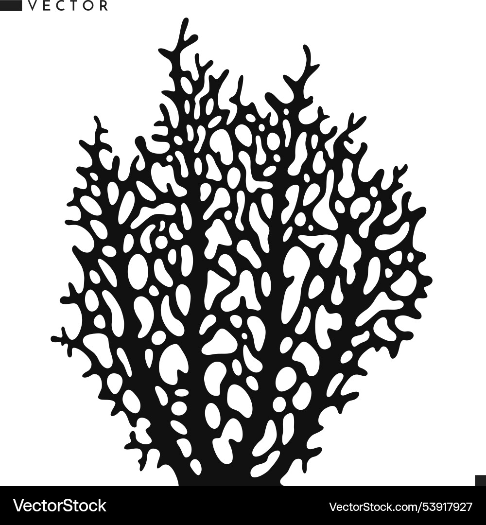 Coral silhouette Royalty Free Vector Image - VectorStock