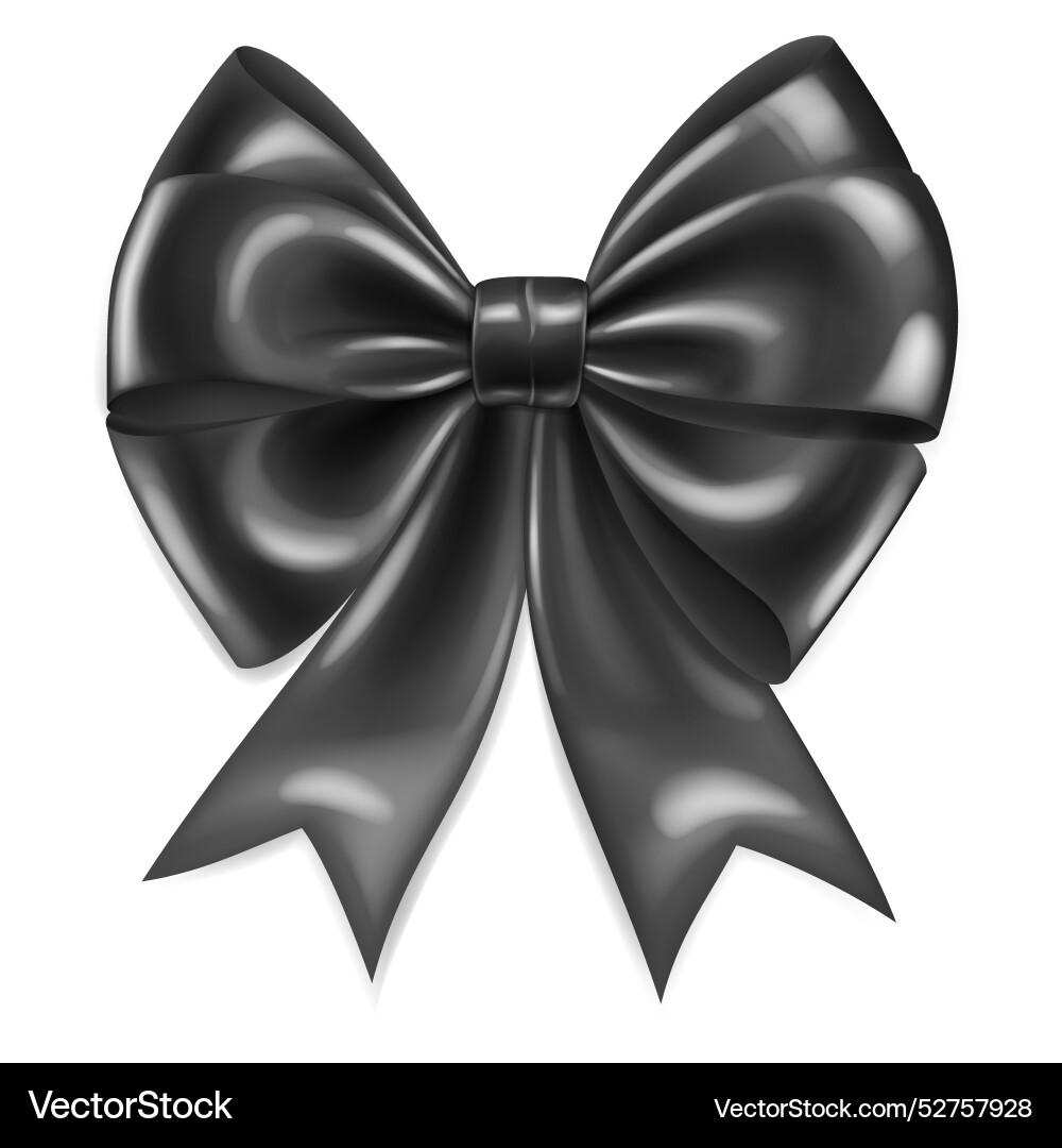 Beautiful large shiny bow Royalty Free Vector Image