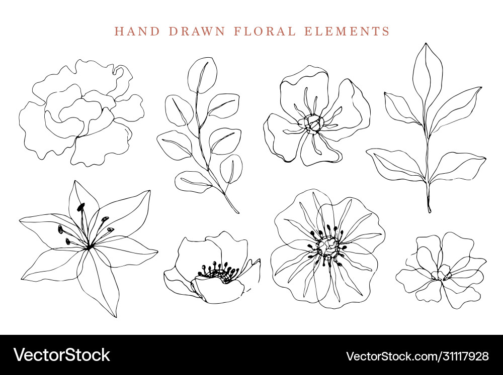 Floral elements set botanical drawings Royalty Free Vector