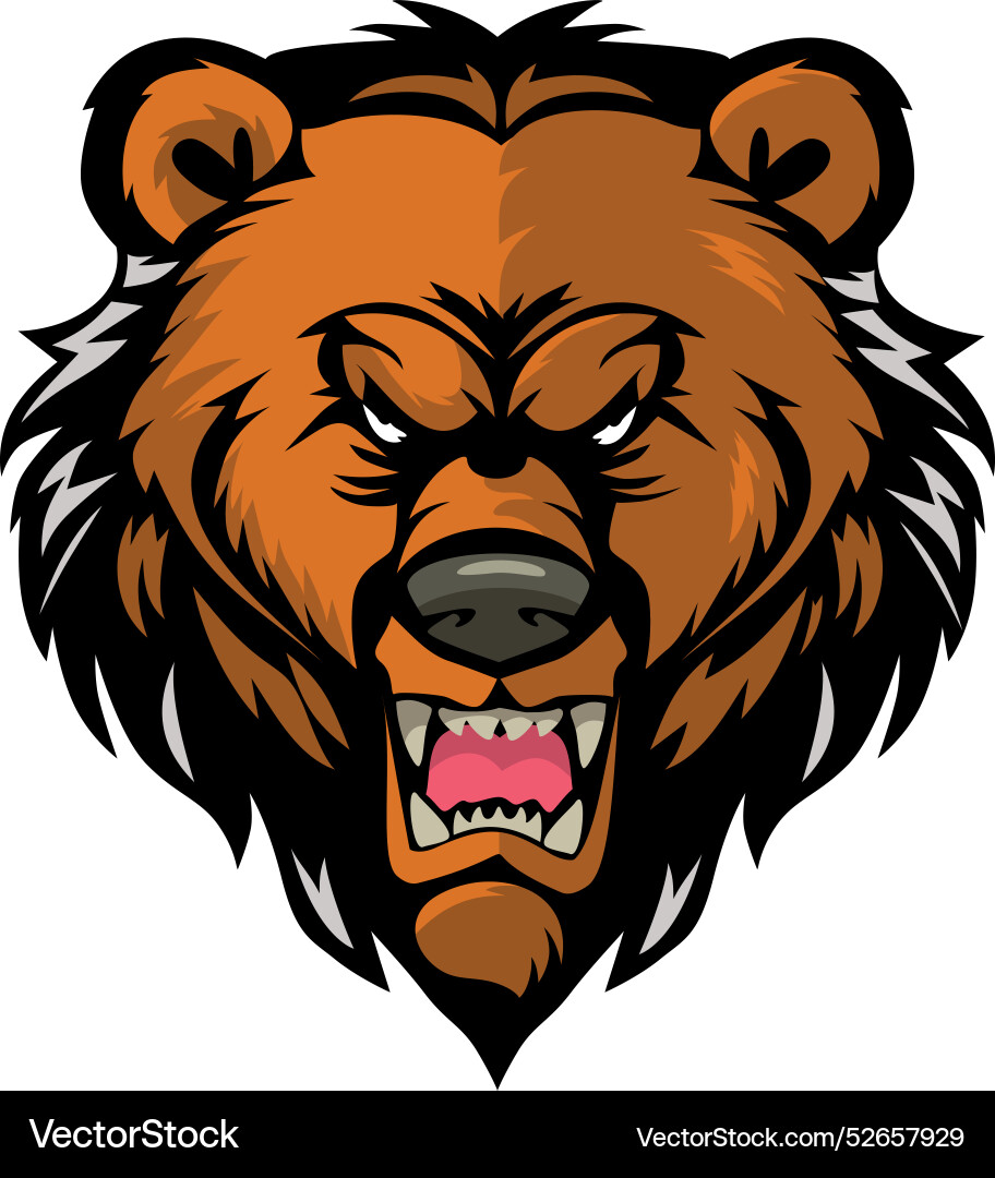 Bears head Royalty Free Vector Image - VectorStock