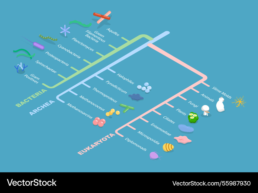 Classification of Plants Vector Images (over 140)