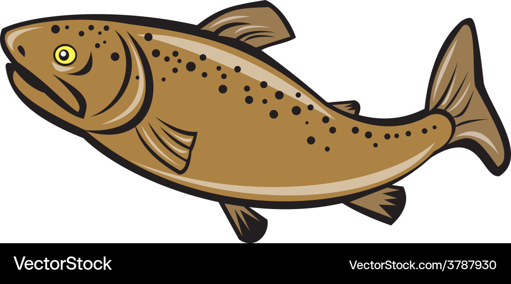 Brown trout fish side cartoon Royalty Free Vector Image