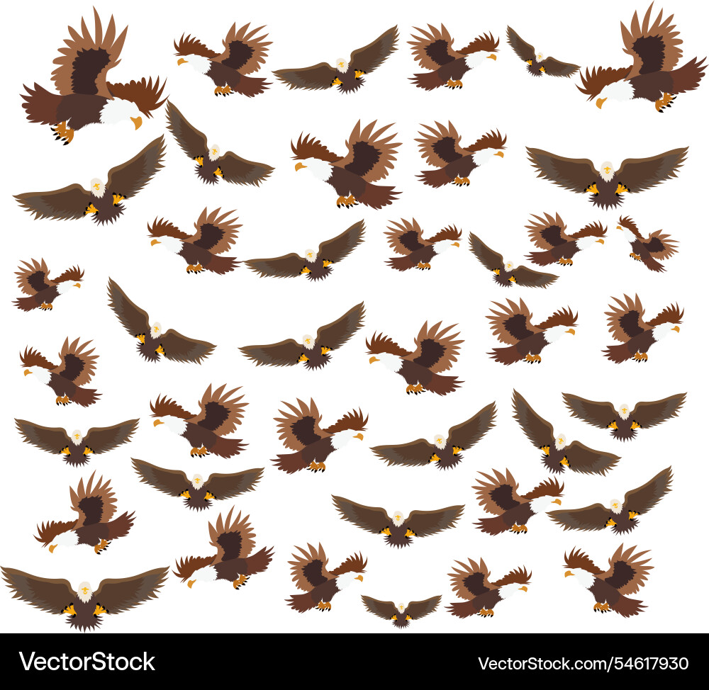 Eagle set Royalty Free Vector Image - VectorStock