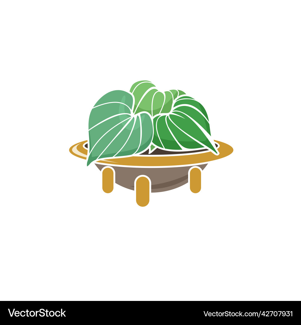 Kava on a bowl Royalty Free Vector Image - VectorStock