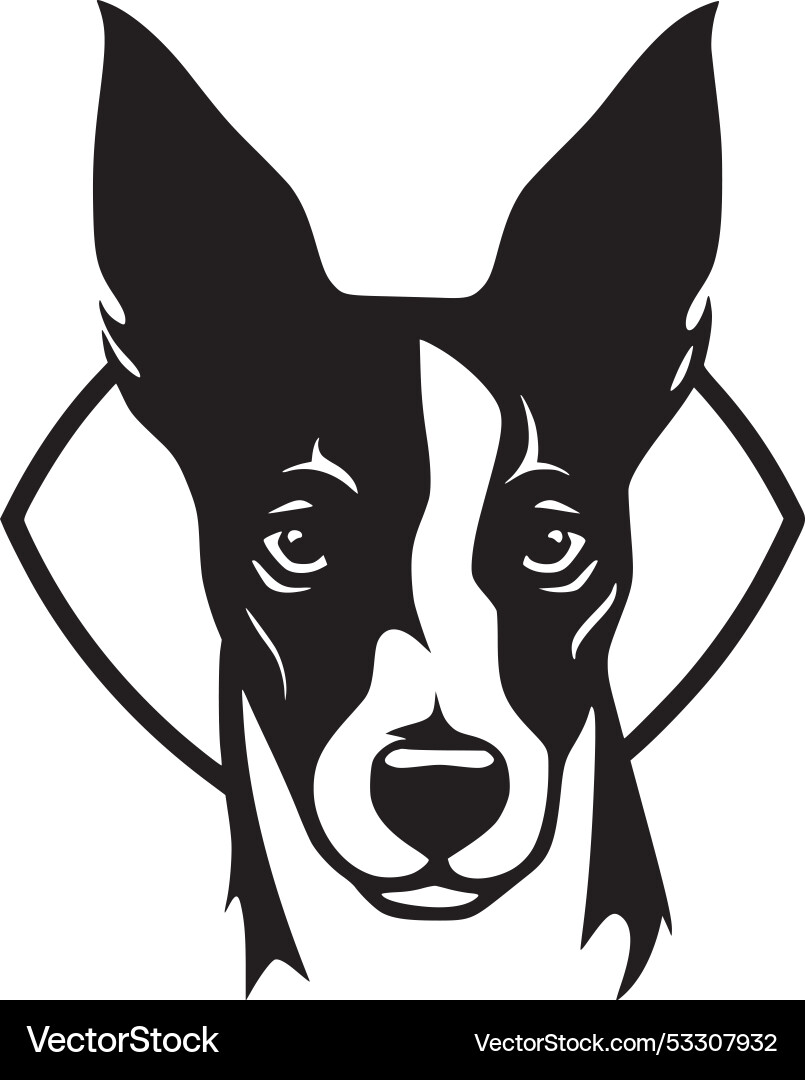 Basenji - minimalist and flat logo Royalty Free Vector Image