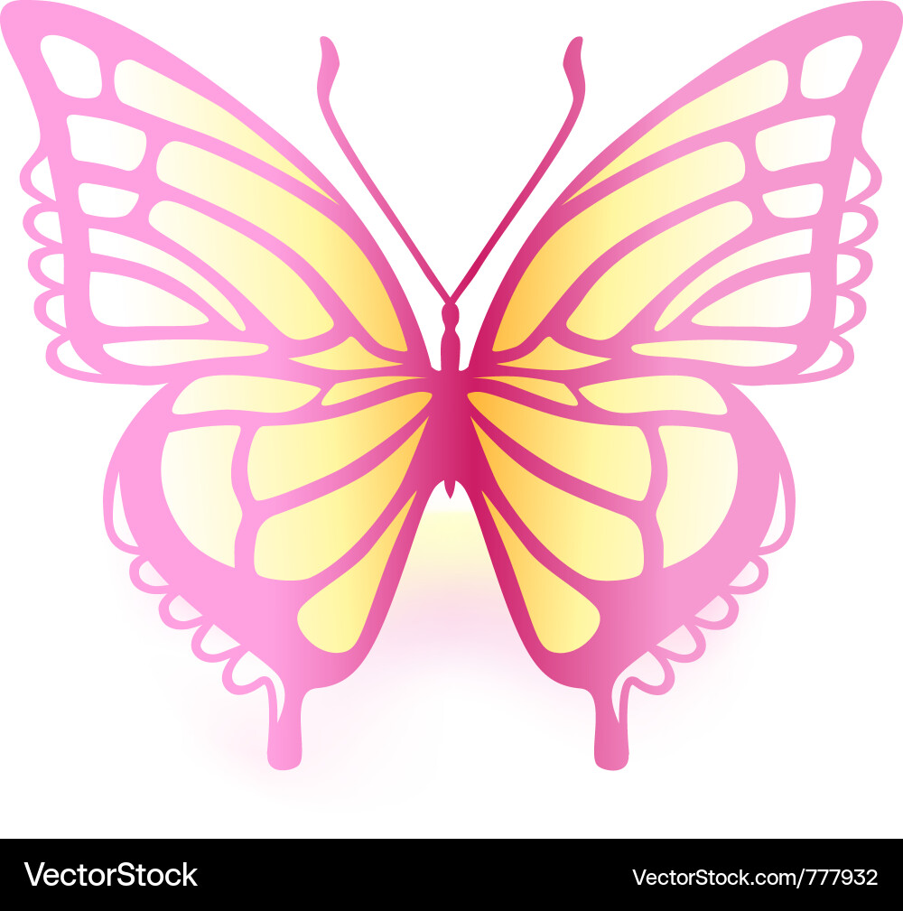 Colored butterfly Royalty Free Vector Image - VectorStock