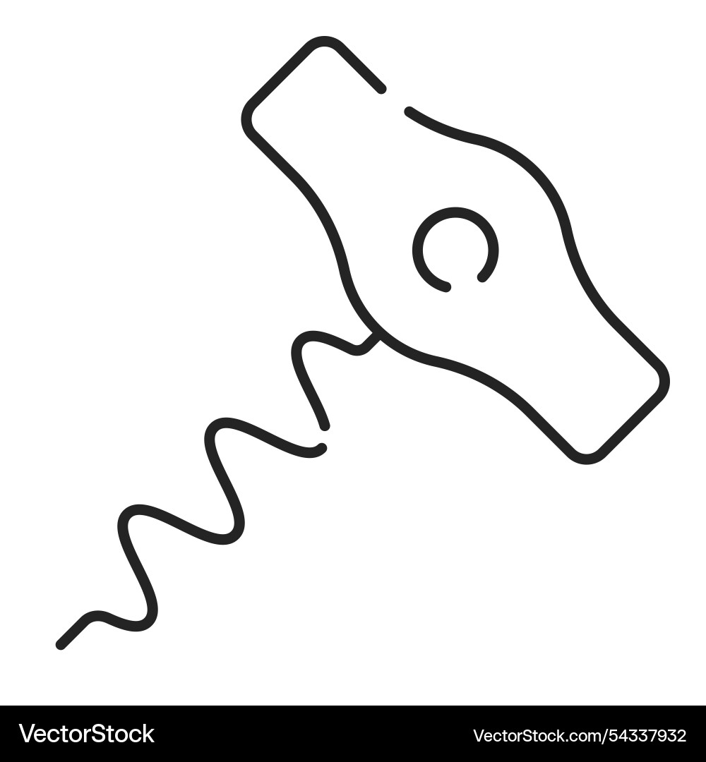 Corkscrew line icon isolated Royalty Free Vector Image