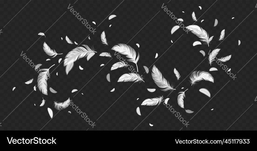 Fliegende weiße Feder Png auf transparentem Hintergrund