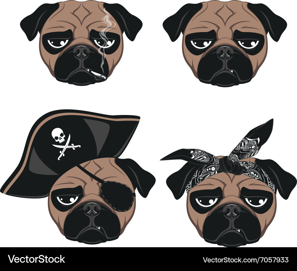 Set of funny pug Royalty Free Vector Image - VectorStock