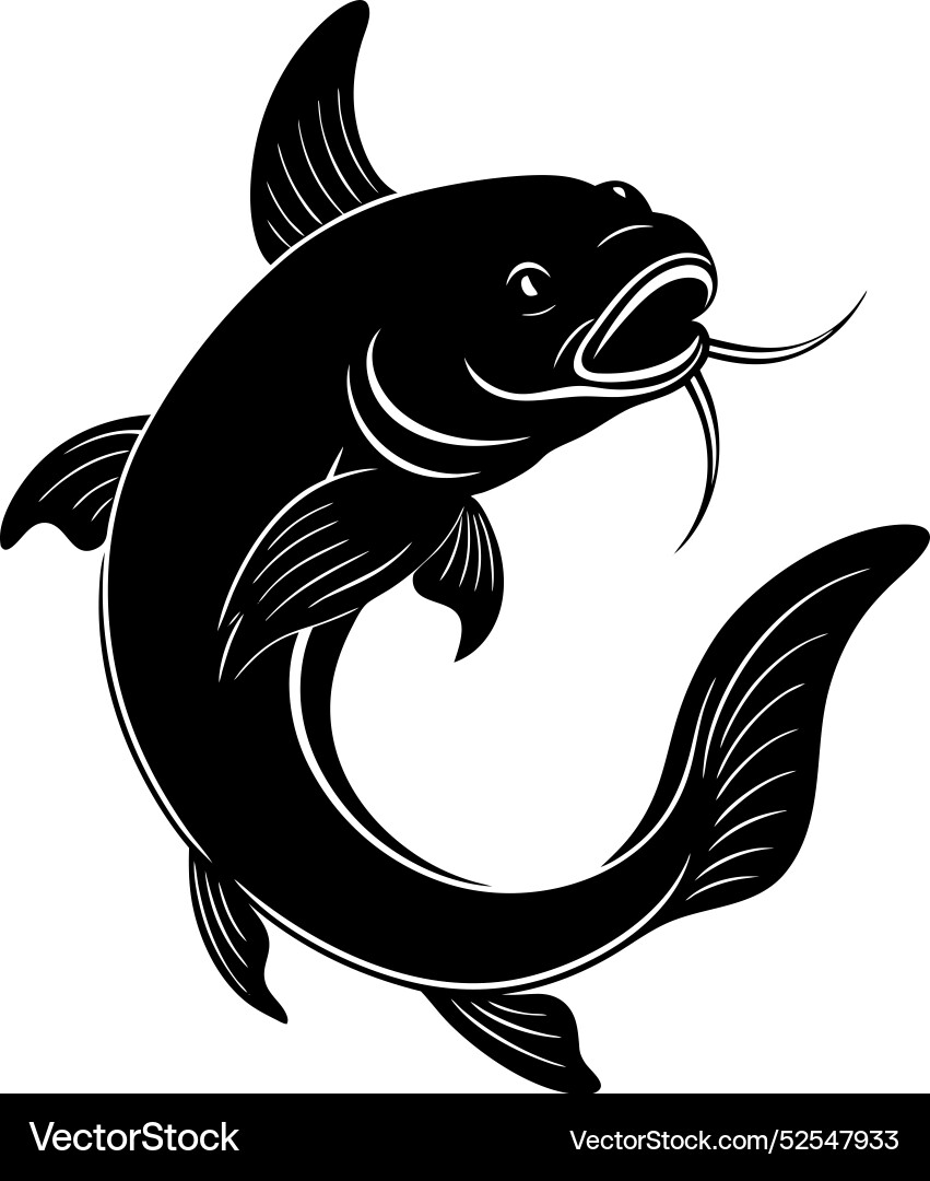 Wels catfish jump white background 1 Royalty Free Vector