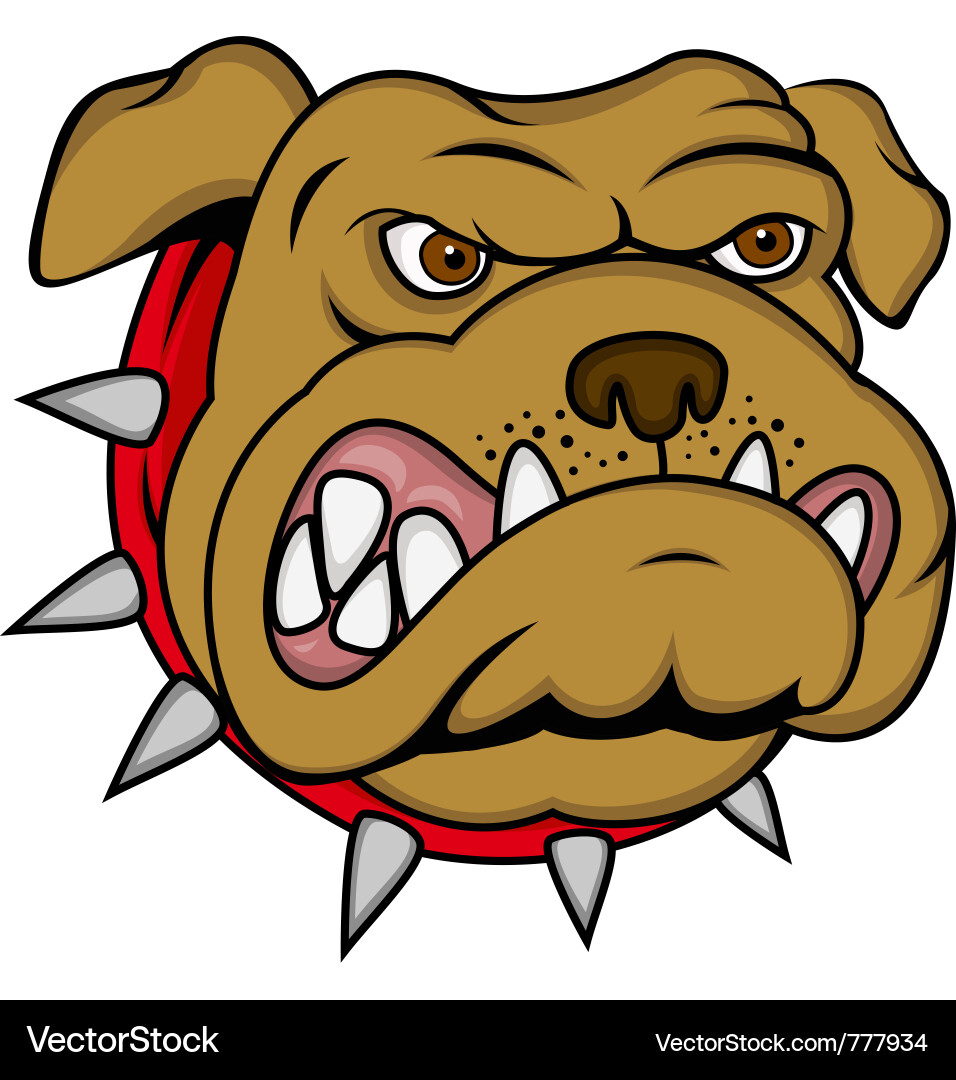 Furious Bulldog Head Royalty Free Vector Image