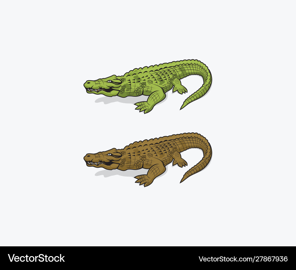Alligator cartoon Royalty Free Vector Image - VectorStock