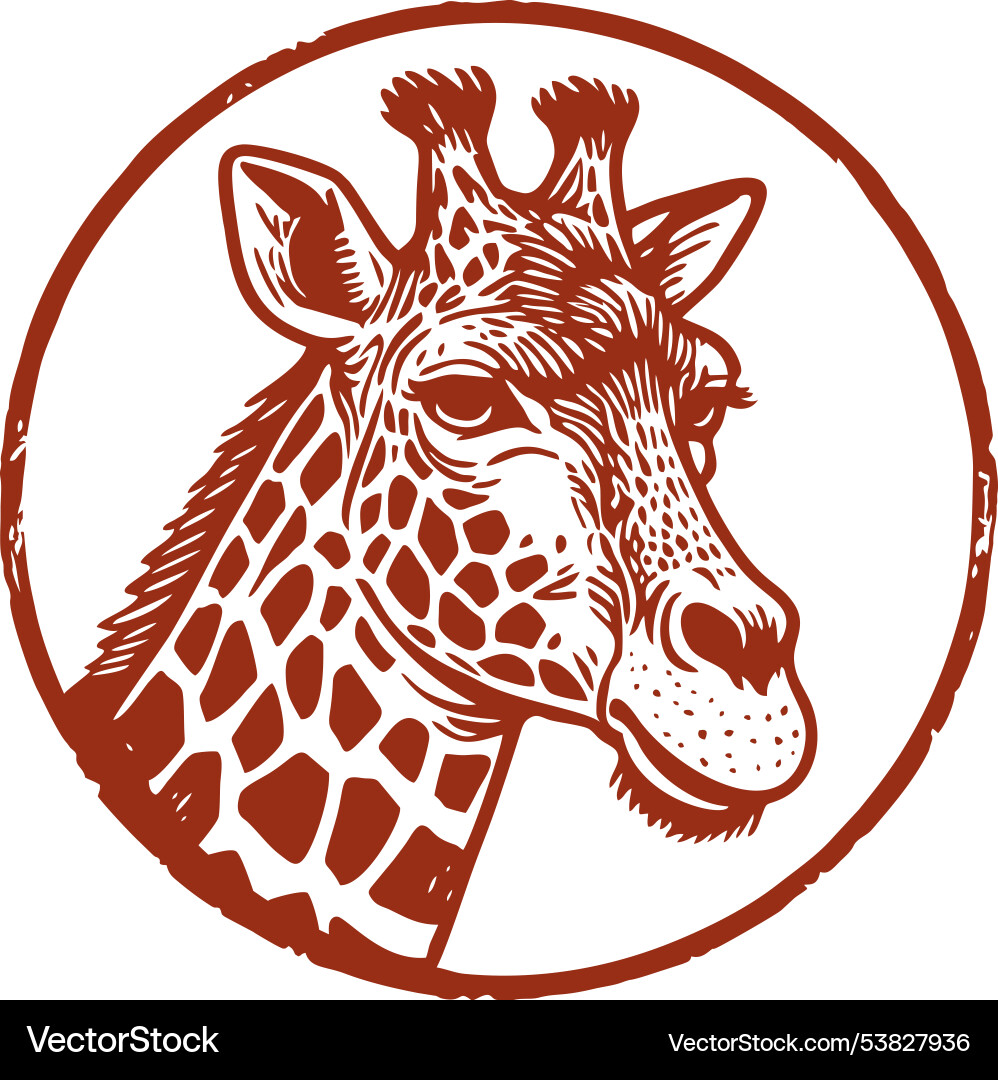 Classic hand drawing giraffe head Royalty Free Vector Image
