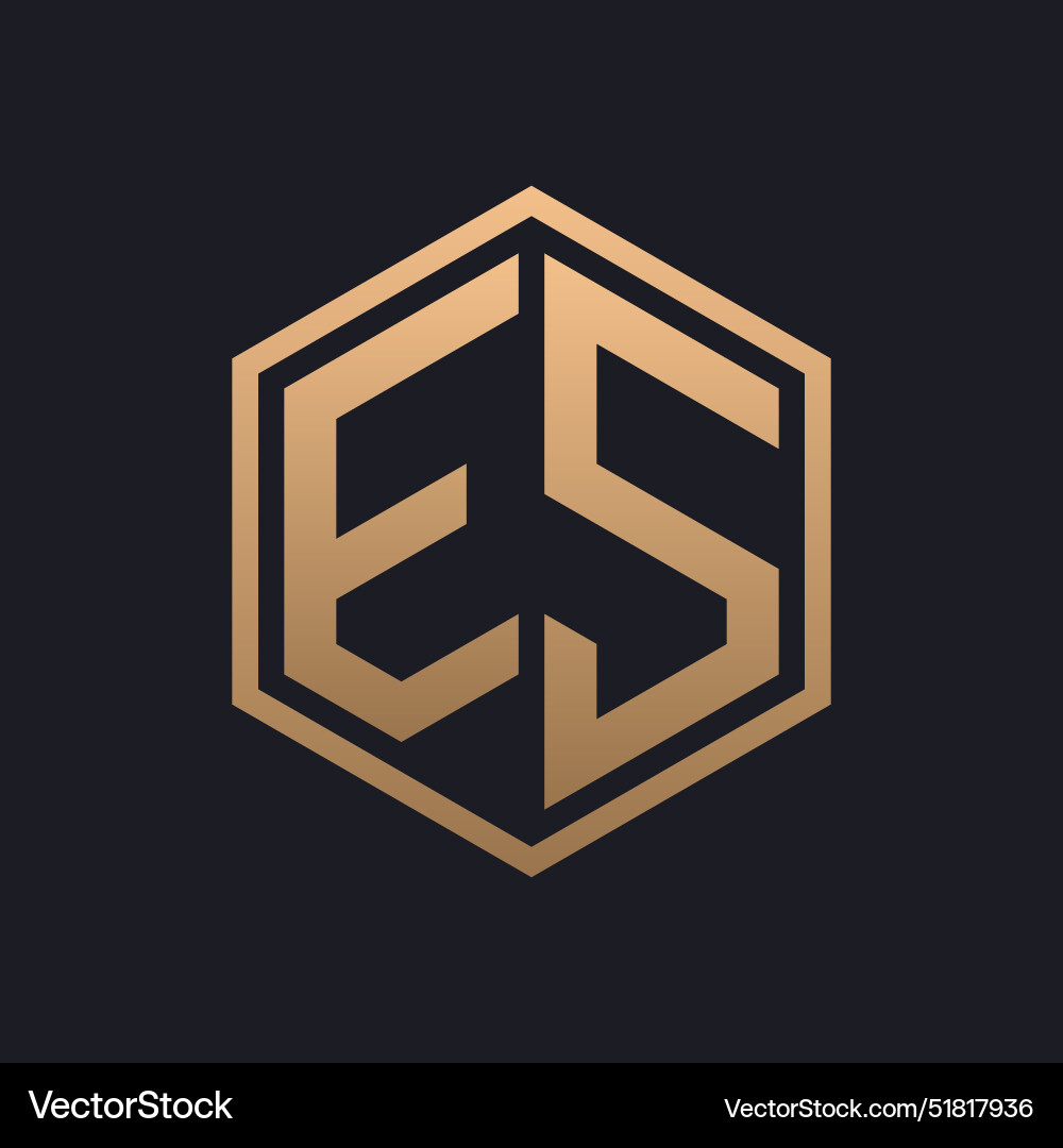Elegant hexagon letter es logo design initial Vector Image