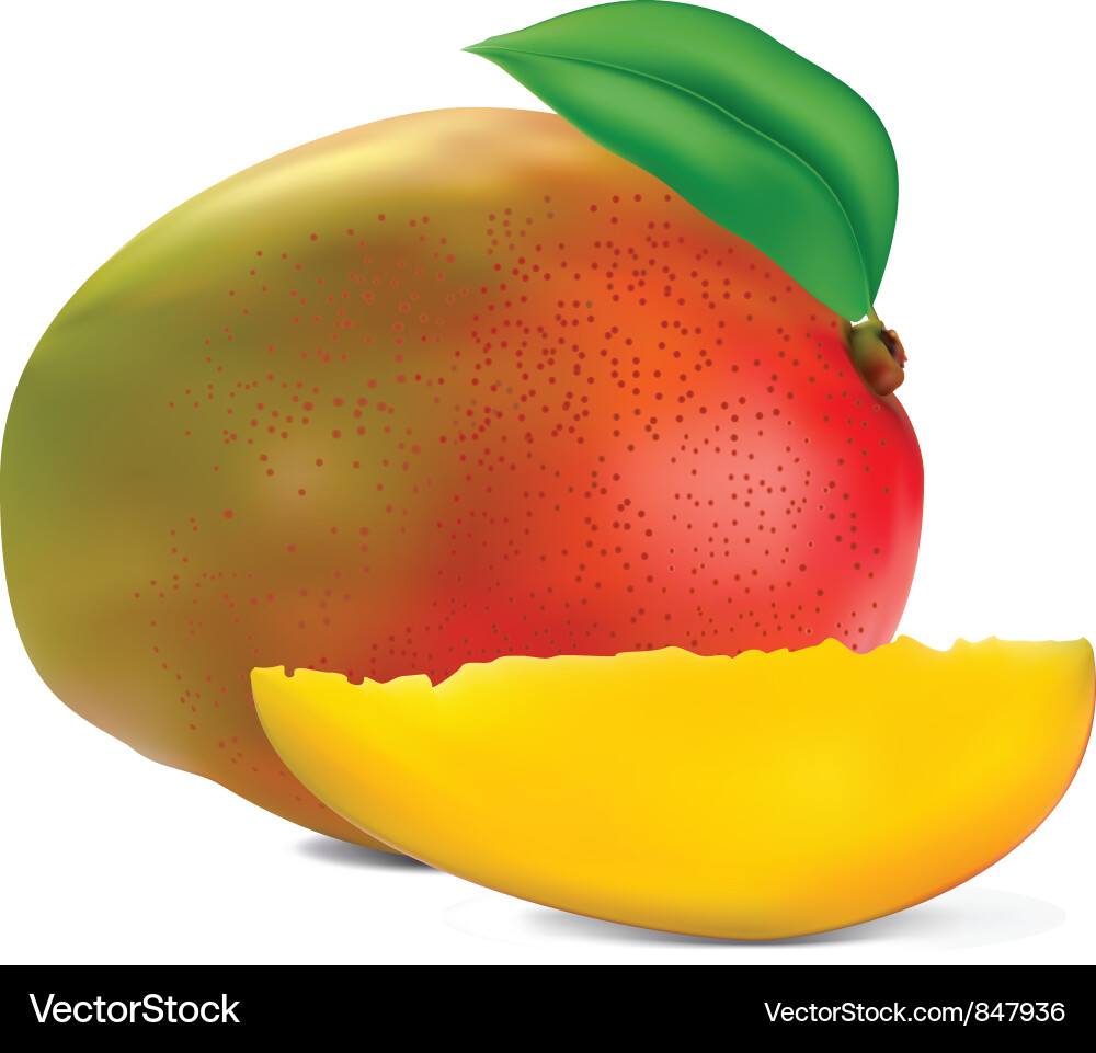 Fresh mango Royalty Free Vector Image - VectorStock