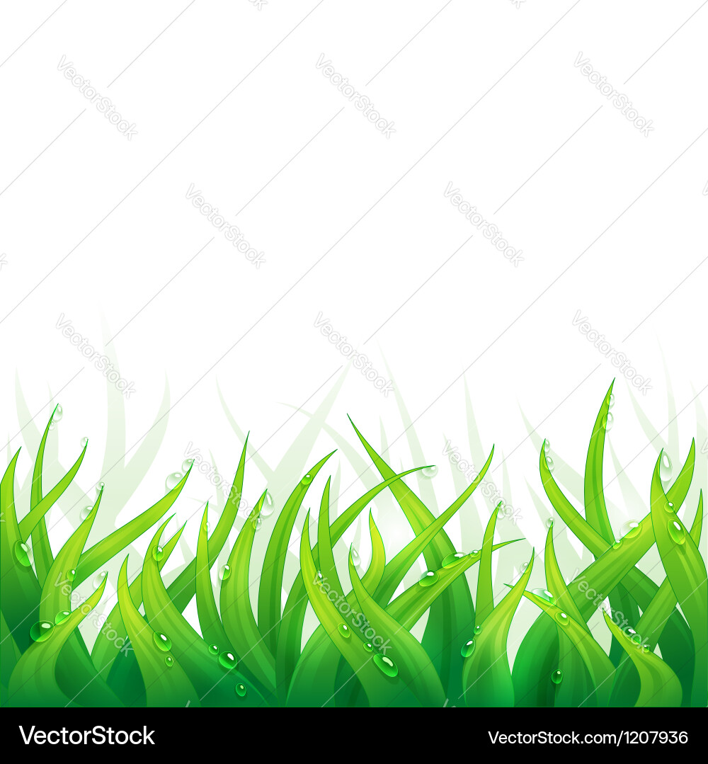 Natural background Royalty Free Vector Image - VectorStock