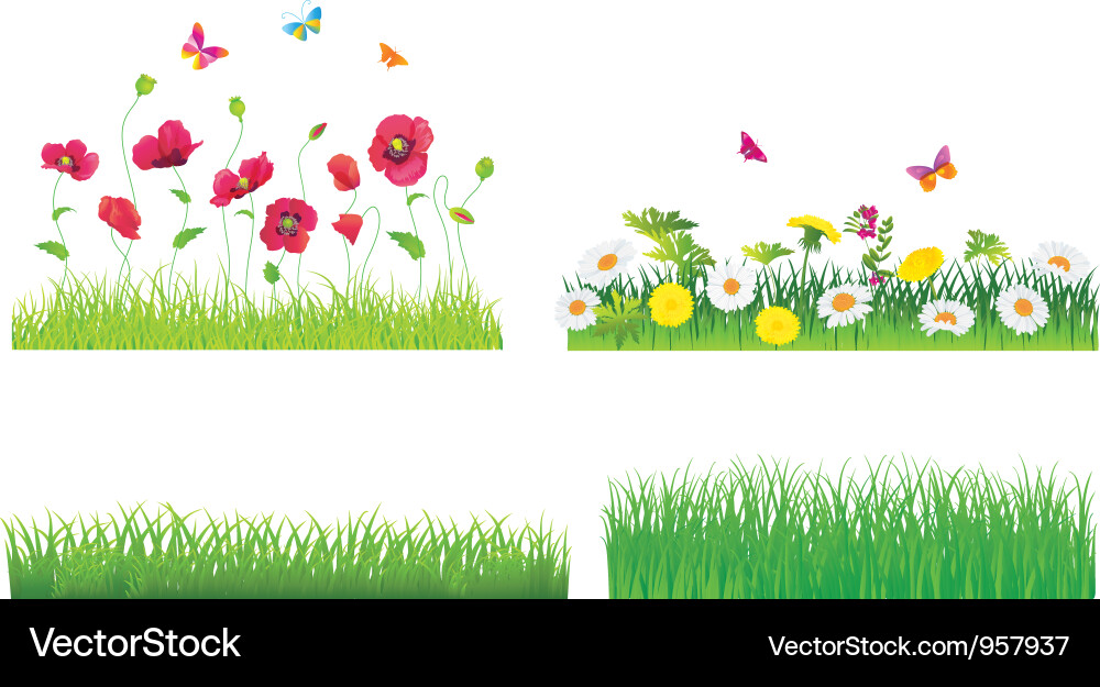 Green grass and flowers set Royalty Free Vector Image