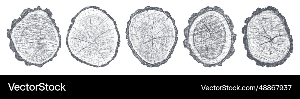 Set of distressed wood texture Royalty Free Vector Image