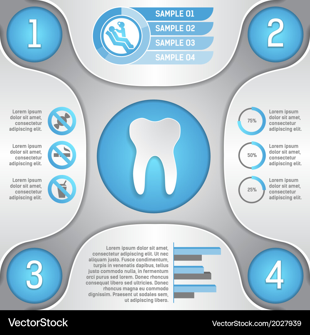 Healthy Teeth Infographic Royalty Free Vector Image
