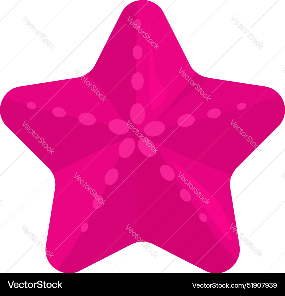 Pink starfish is laying on a white background Vector Image