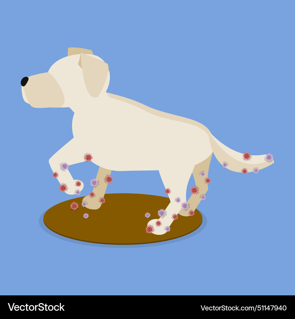 3d isometric flat of dirty dog Royalty Free Vector Image