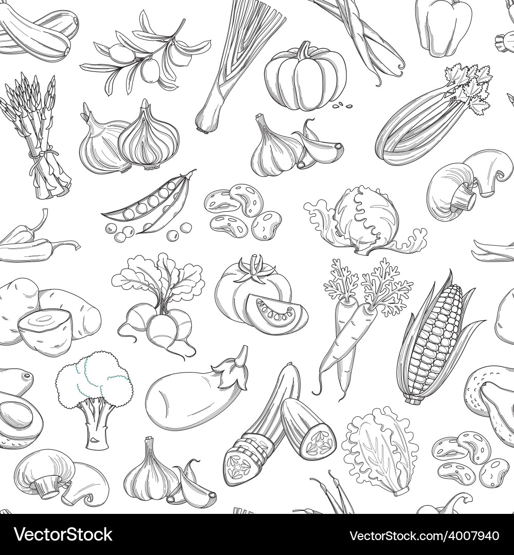 Outline hand drawn vegetable pattern flat style Vector Image