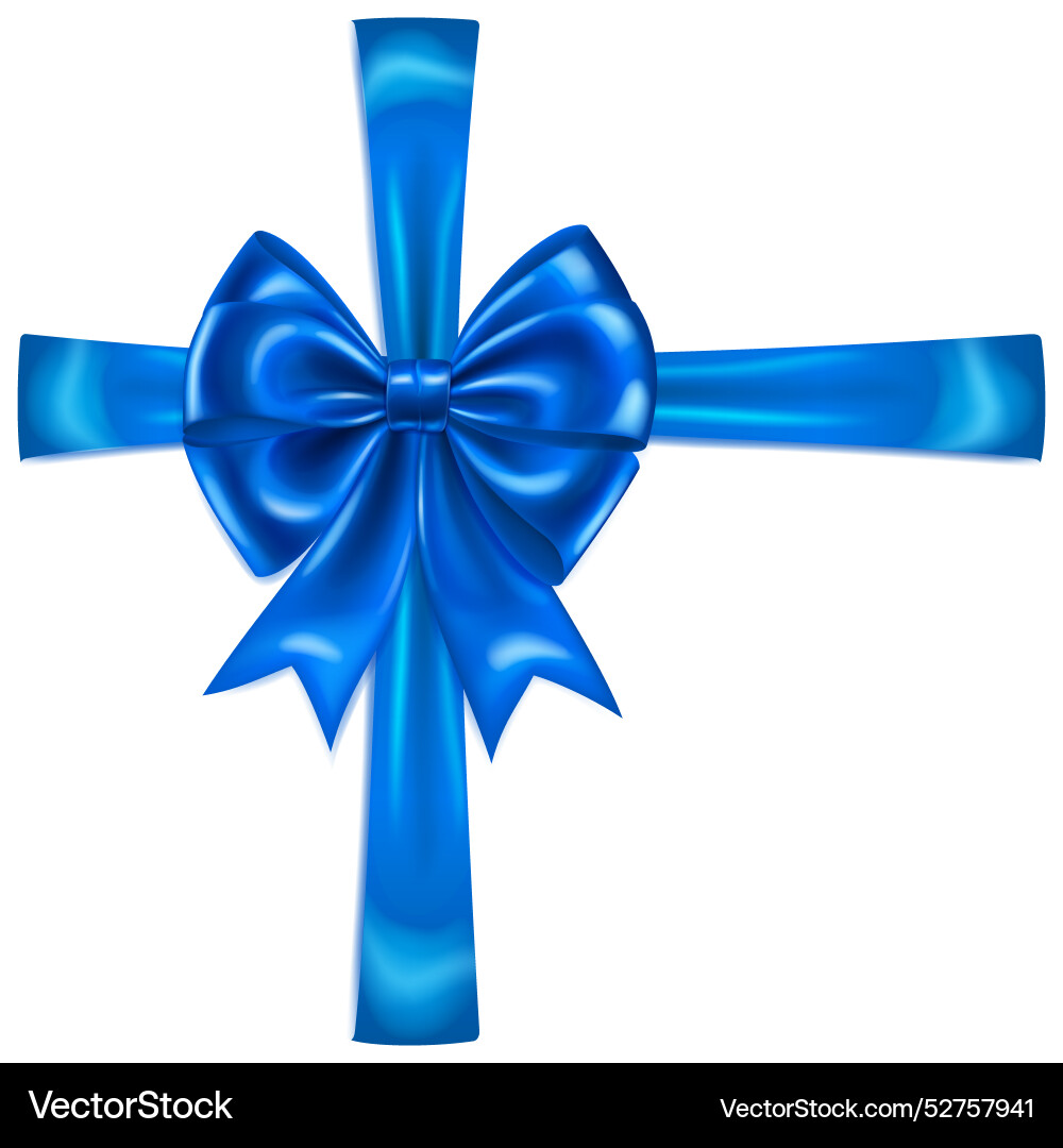 Beautiful large shiny bow with crosswise ribbons Vector Image
