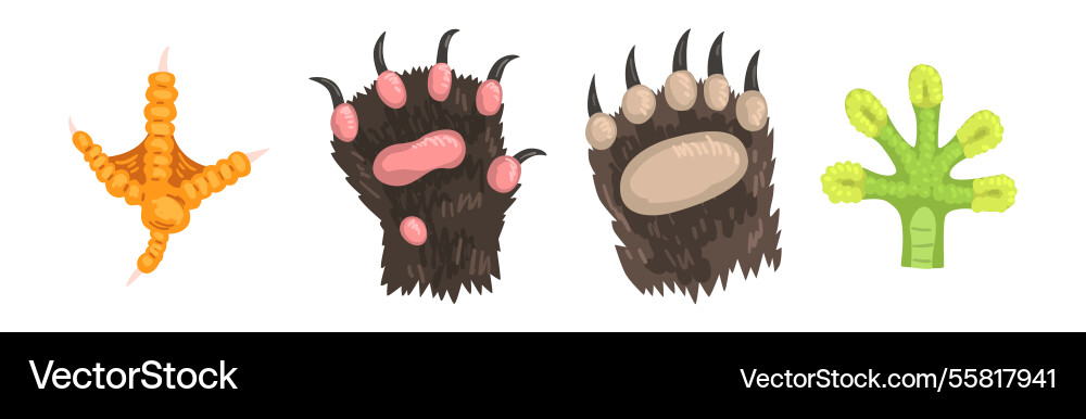 Different animal paw and limb or foot set Vector Image