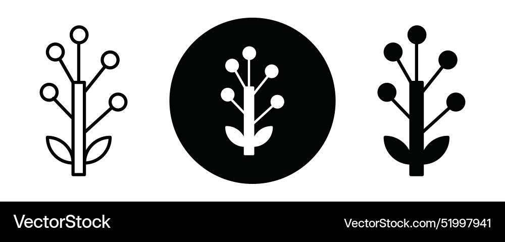 Golden wattle outline icon collection or set Vector Image