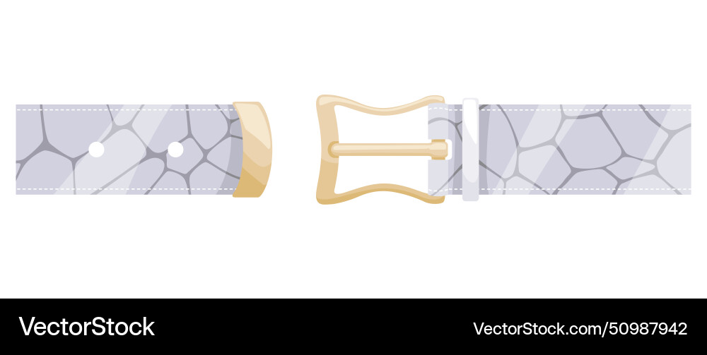 Leather belts with buckle isolated on white Vector Image