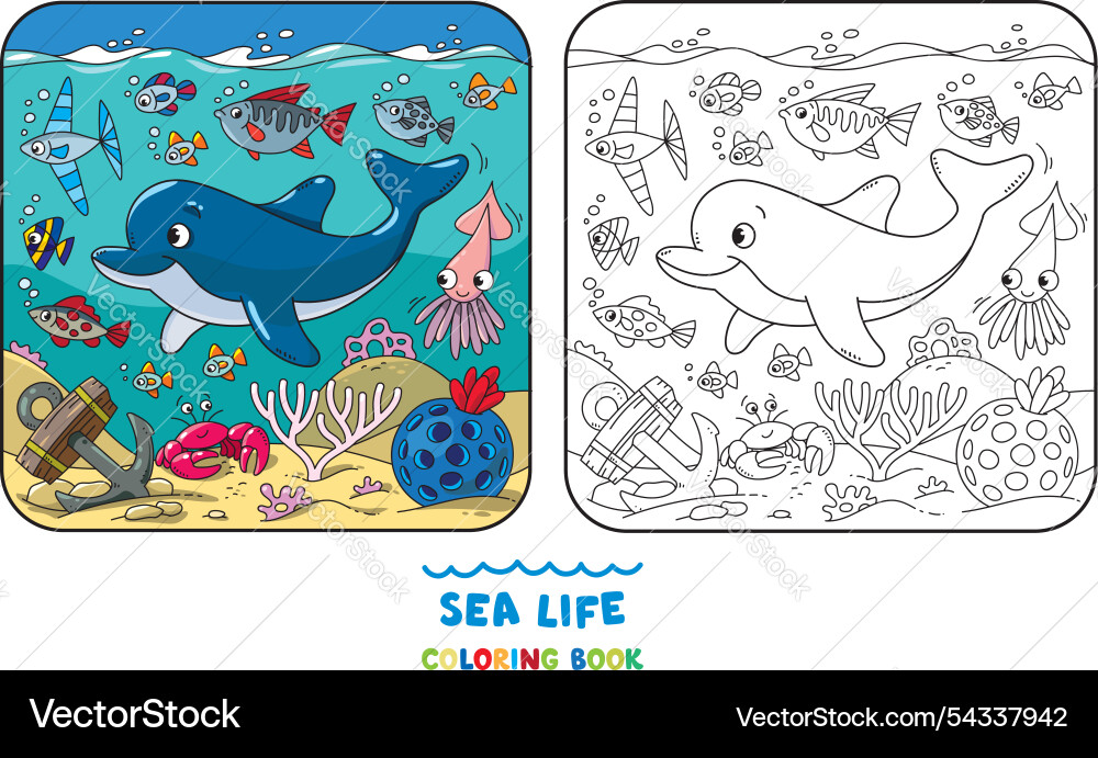 Sea theme dolphin coloring book kids Royalty Free Vector