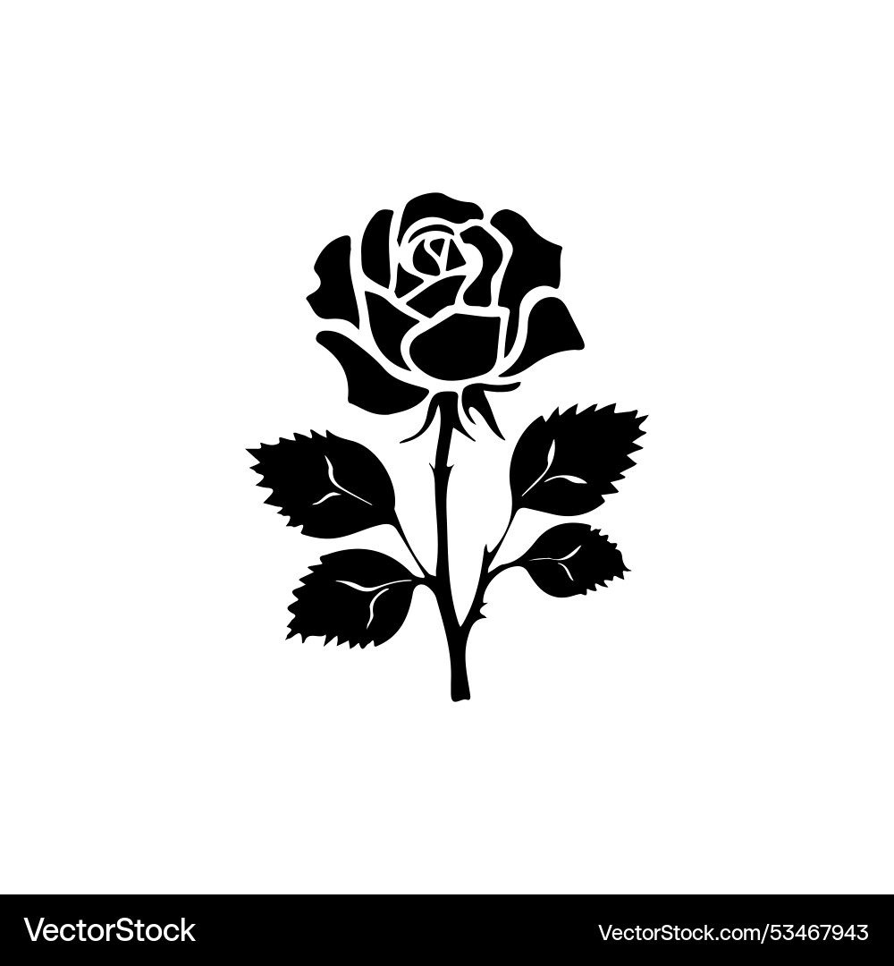 Rose mandala design Royalty Free Vector Image - VectorStock