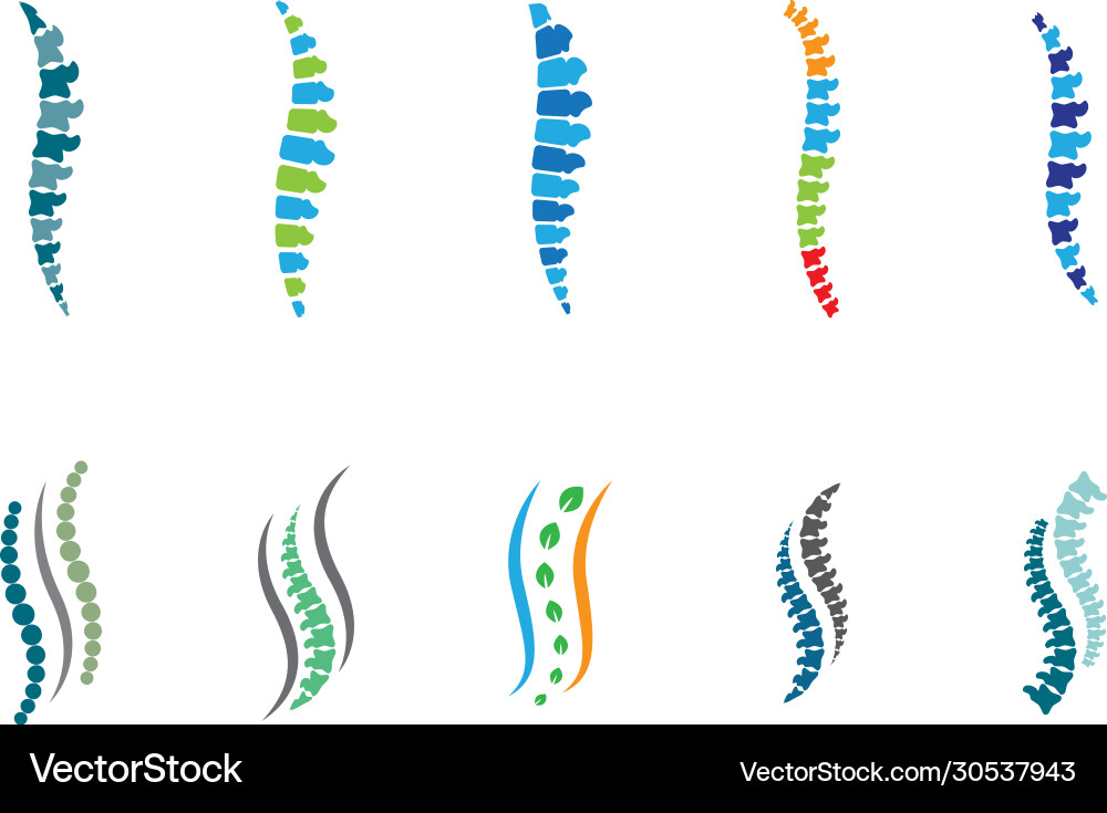 Spine Icon - Health & Wellness Royalty Free Vector Image