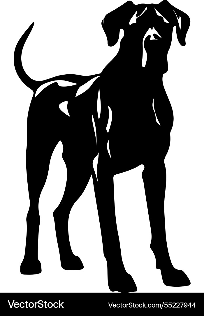 Great dane silhouette Royalty Free Vector Image