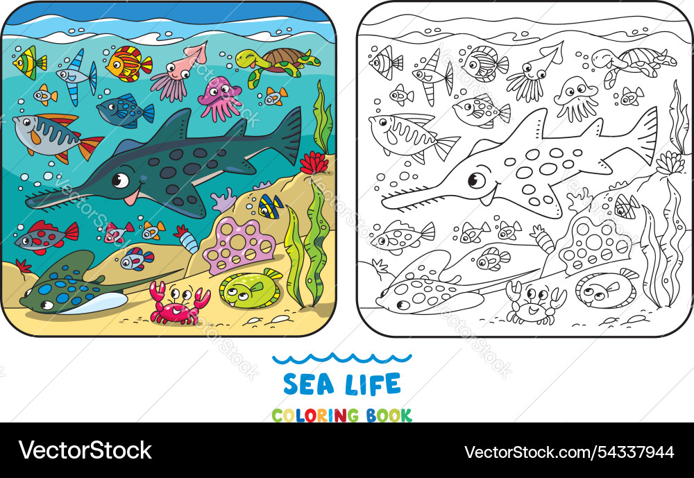 Underwater Sea Animals Coloring Book Royalty Free Vector