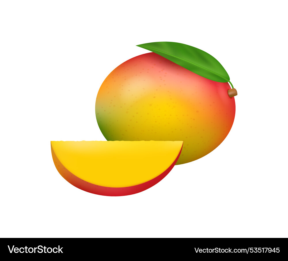 Ripe mango fruit whole and slice summer food Vector Image