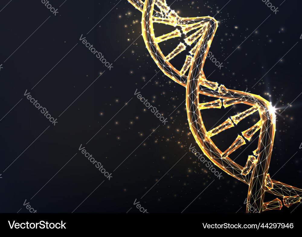 Abstract gold dna helix structure on black Vector Image