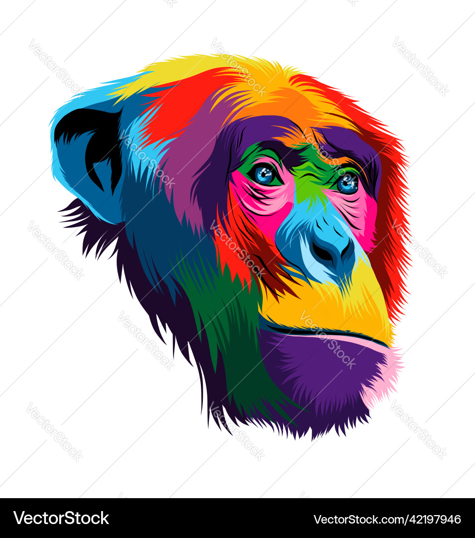 Colorful Chimpanzee Head Portrait Royalty Free Vector Image
