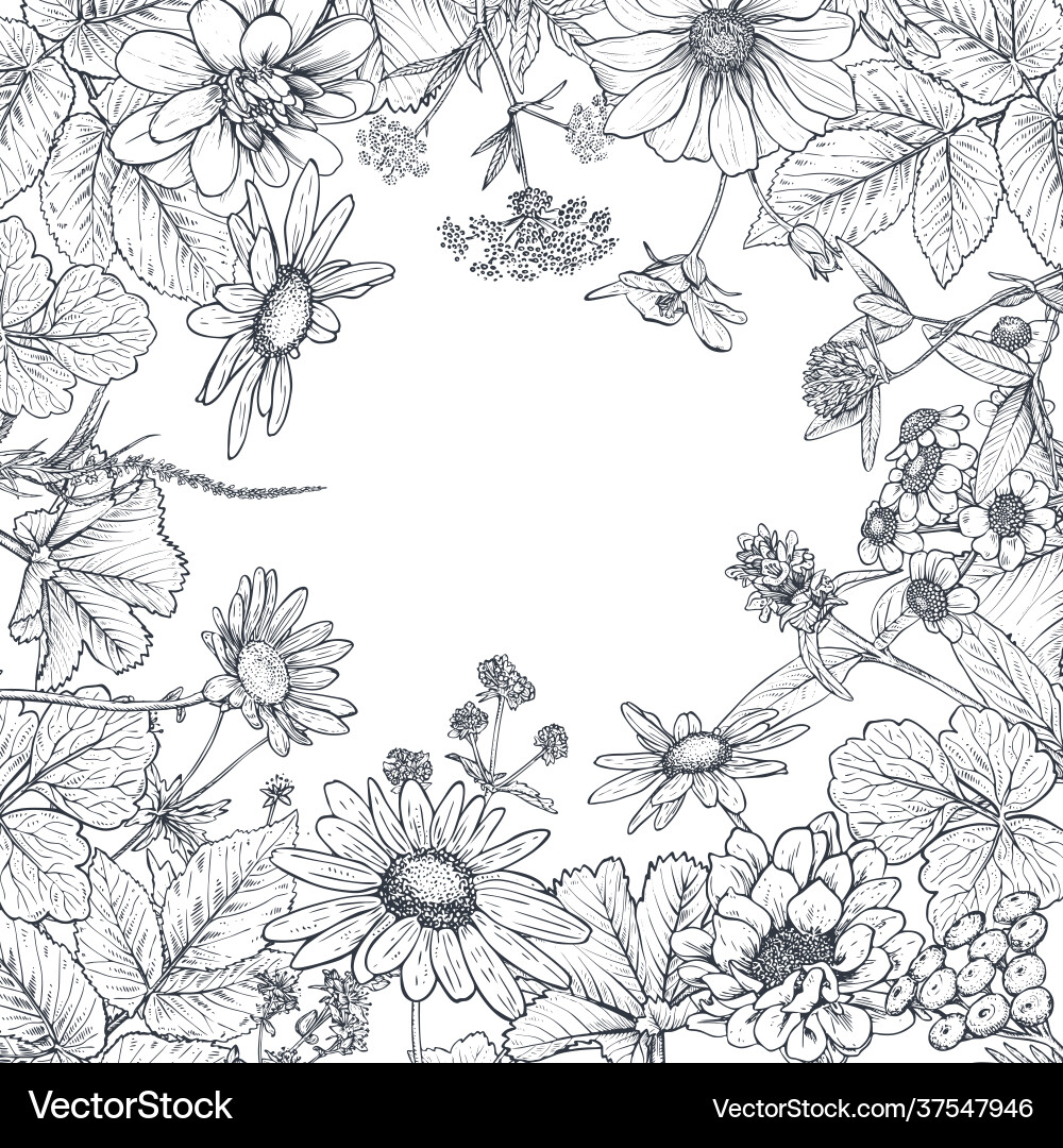 Floral frame with hand drawn wildflowers Vector Image