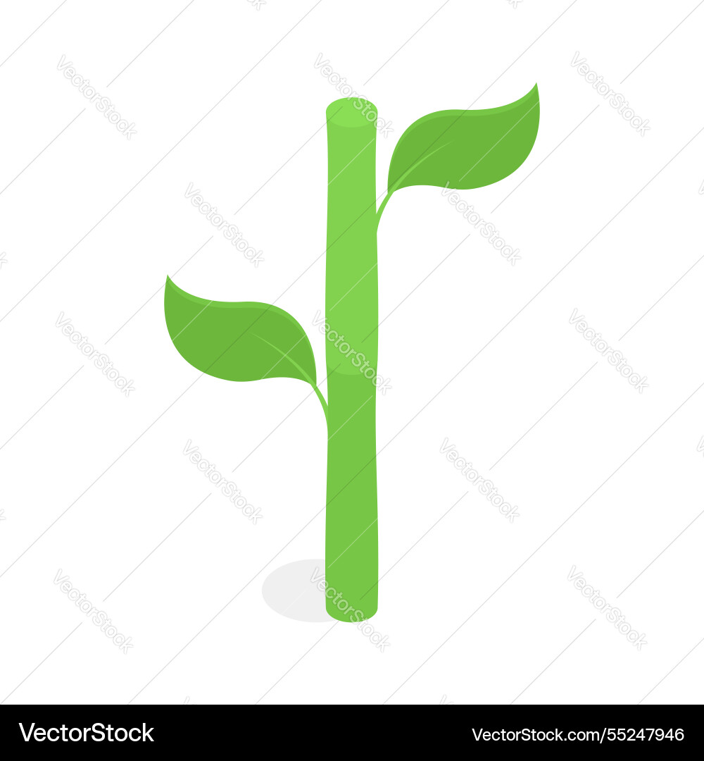 Plant stem Royalty Free Vector Image - VectorStock