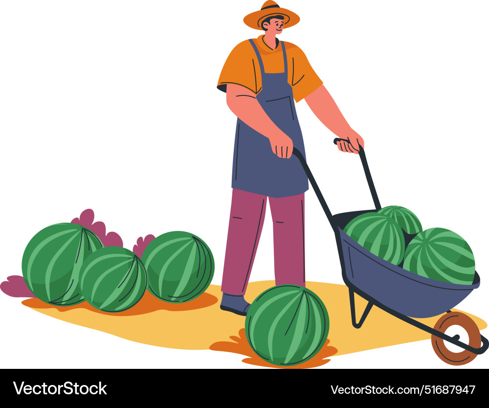 Farmer harvesting watermelons Royalty Free Vector Image