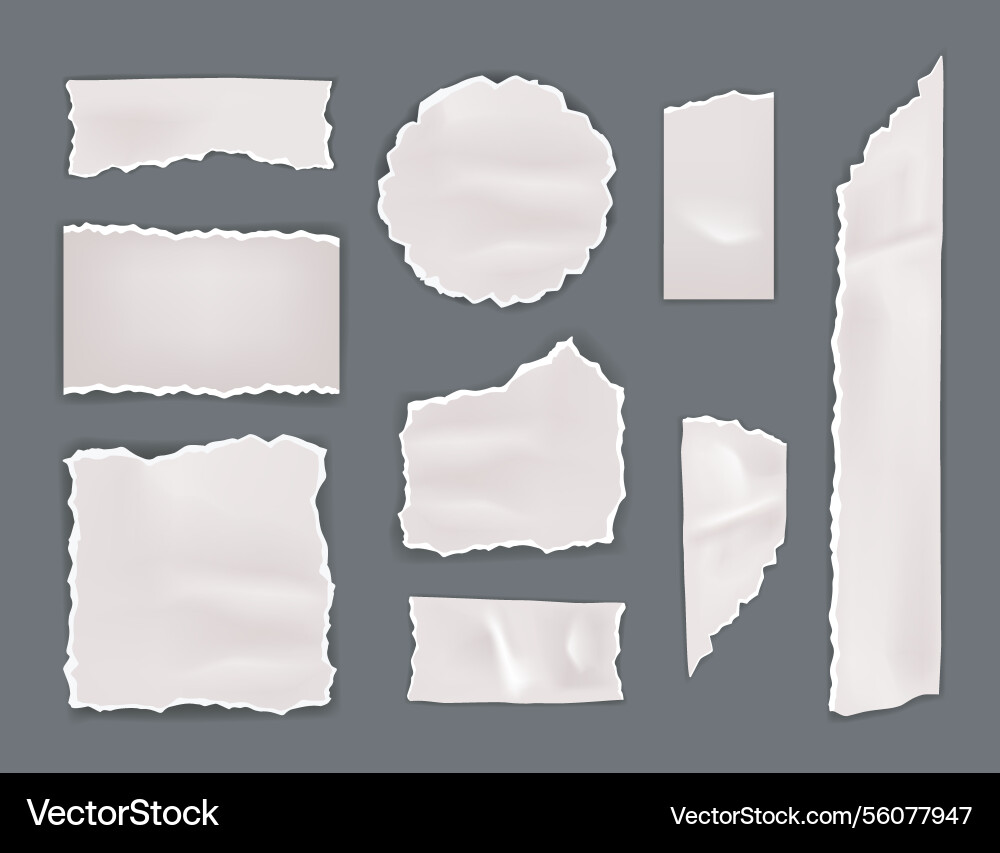 Torn paper different forms white sheet blank Vector Image