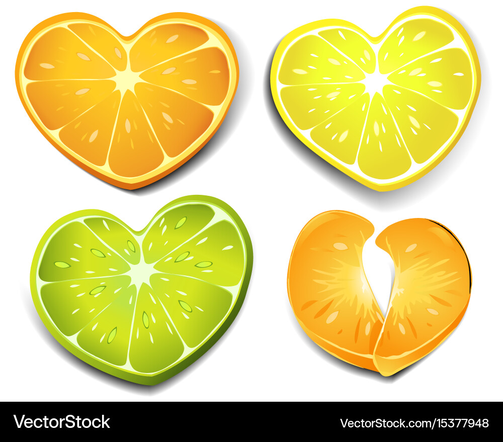 Citrus heart shape Royalty Free Vector Image - VectorStock