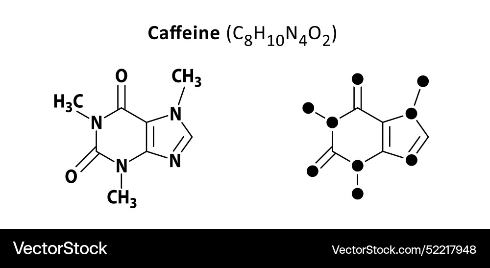 Coffee caffeine chemical structure c8h10n4o2 Vector Image