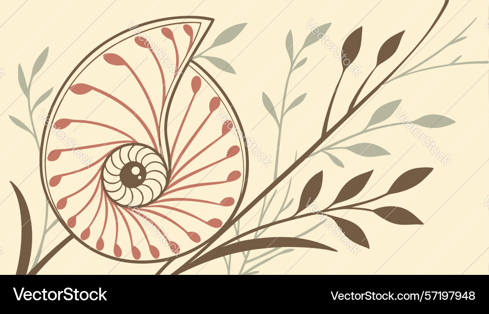 Organic snail shell design with botanical Vector Image