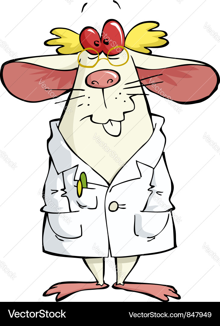 Lab mouse Royalty Free Vector Image - VectorStock